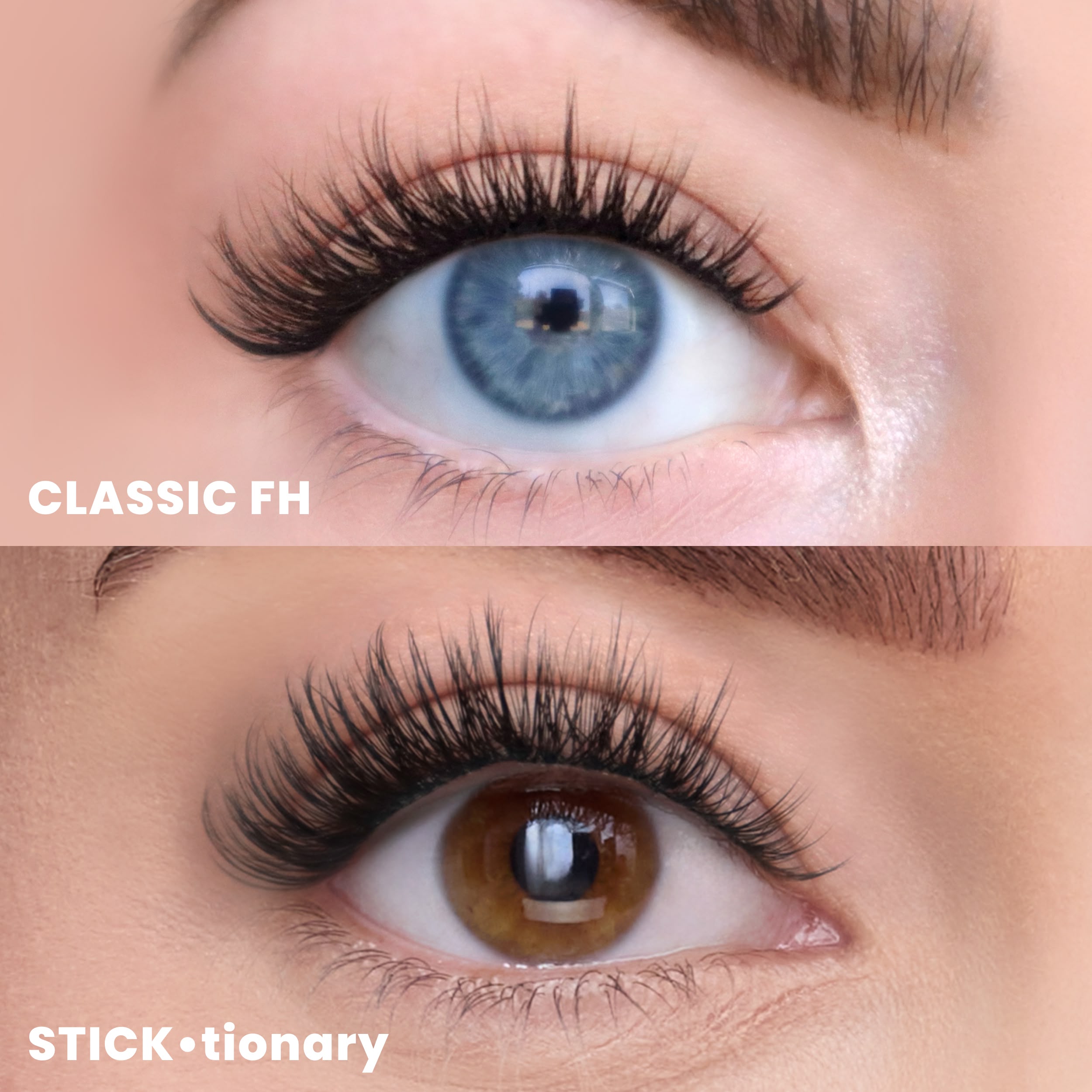 Dual Definition Set – FlutterHabit