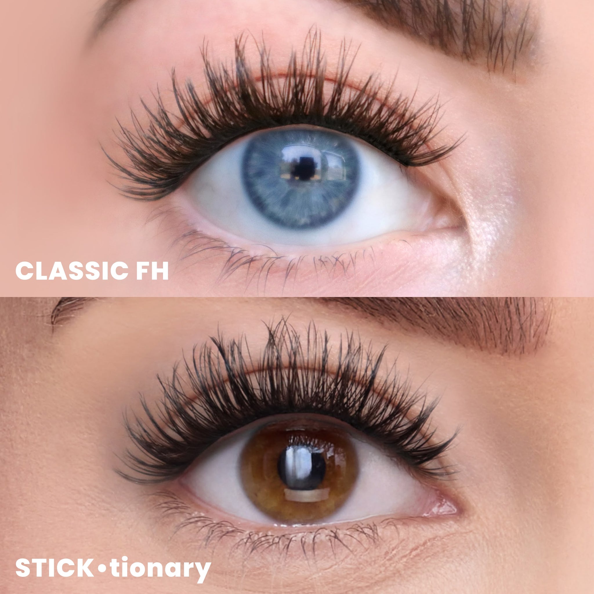 Dual Definition Set – FlutterHabit