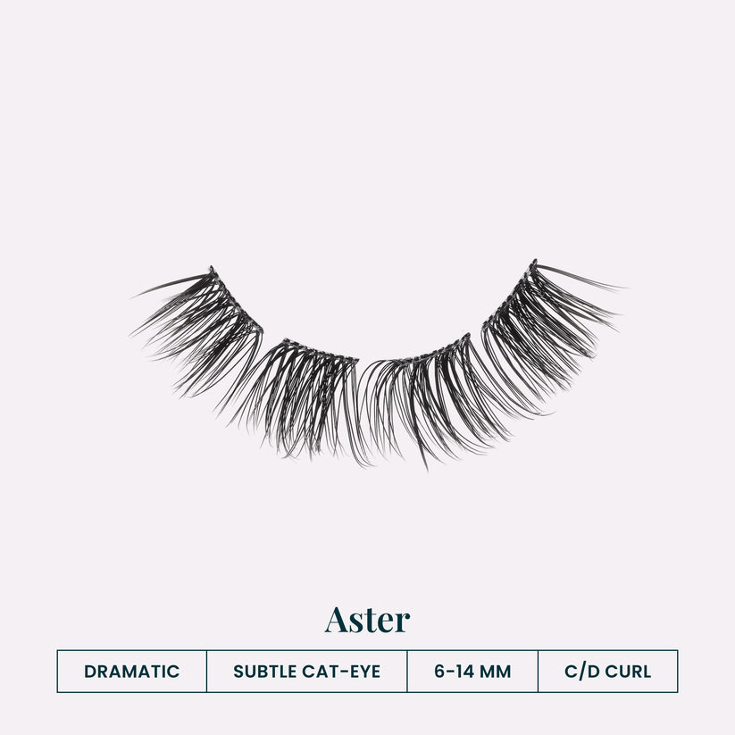 Aster – FlutterHabit