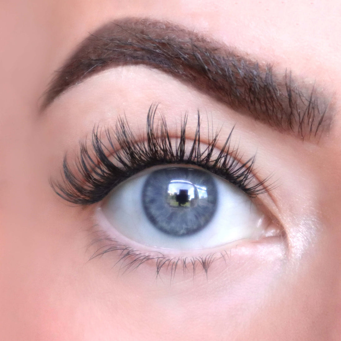 Poppy – FlutterHabit