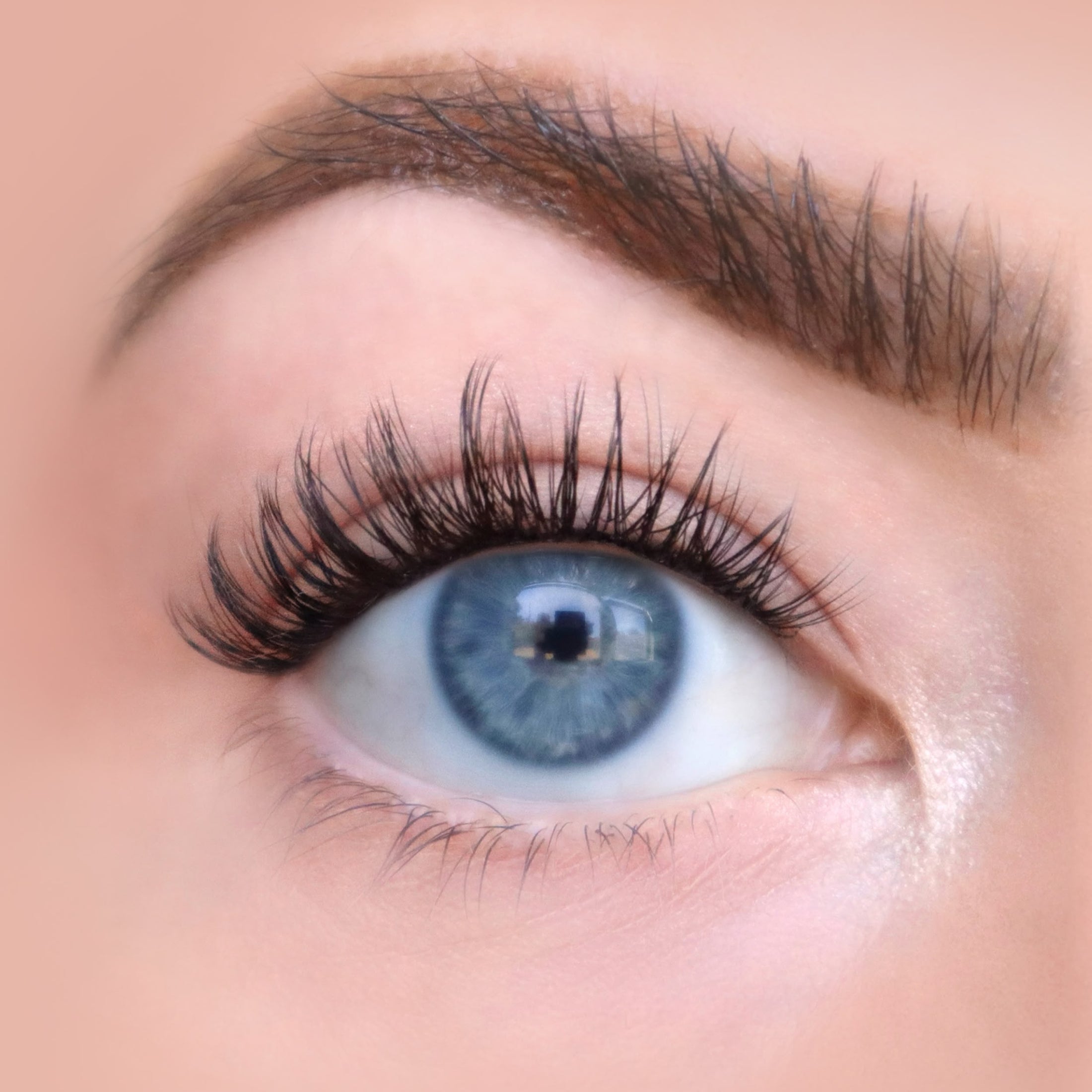 Poppy – FlutterHabit