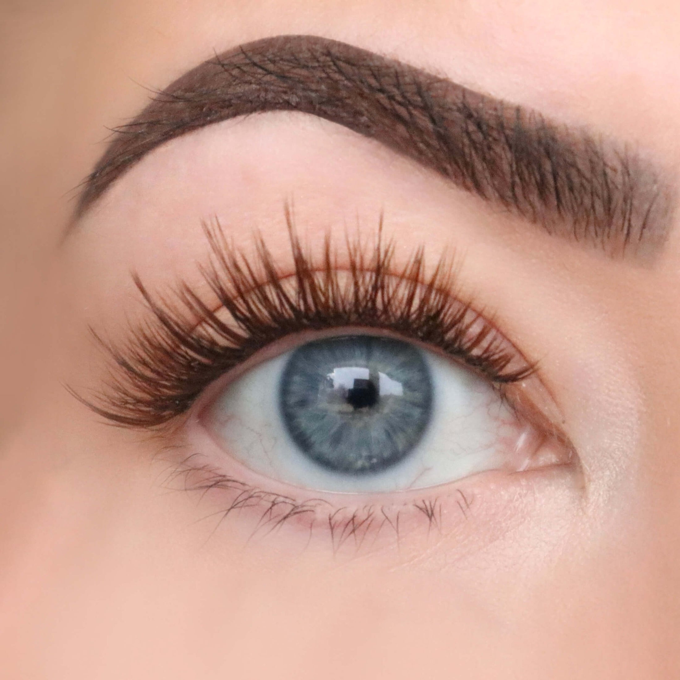 The Bestie - DIY under lash extensions, up to 10 day wear – FlutterHabit