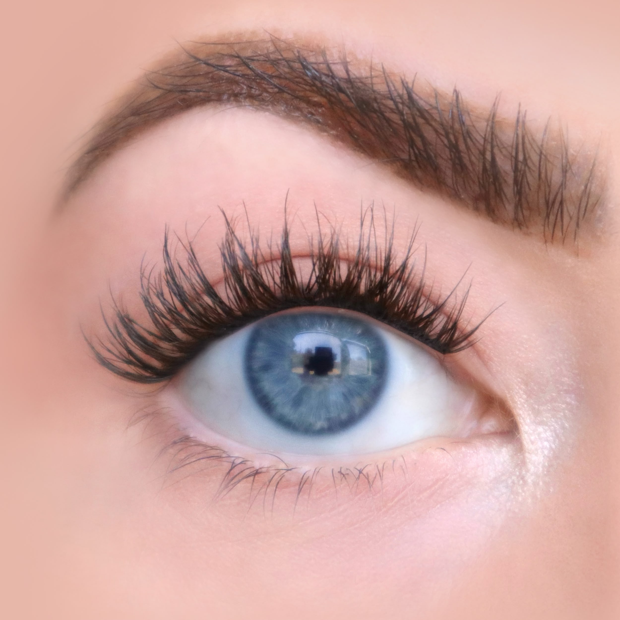Willow - DIY under lash extensions, up to 10 day wear – FlutterHabit