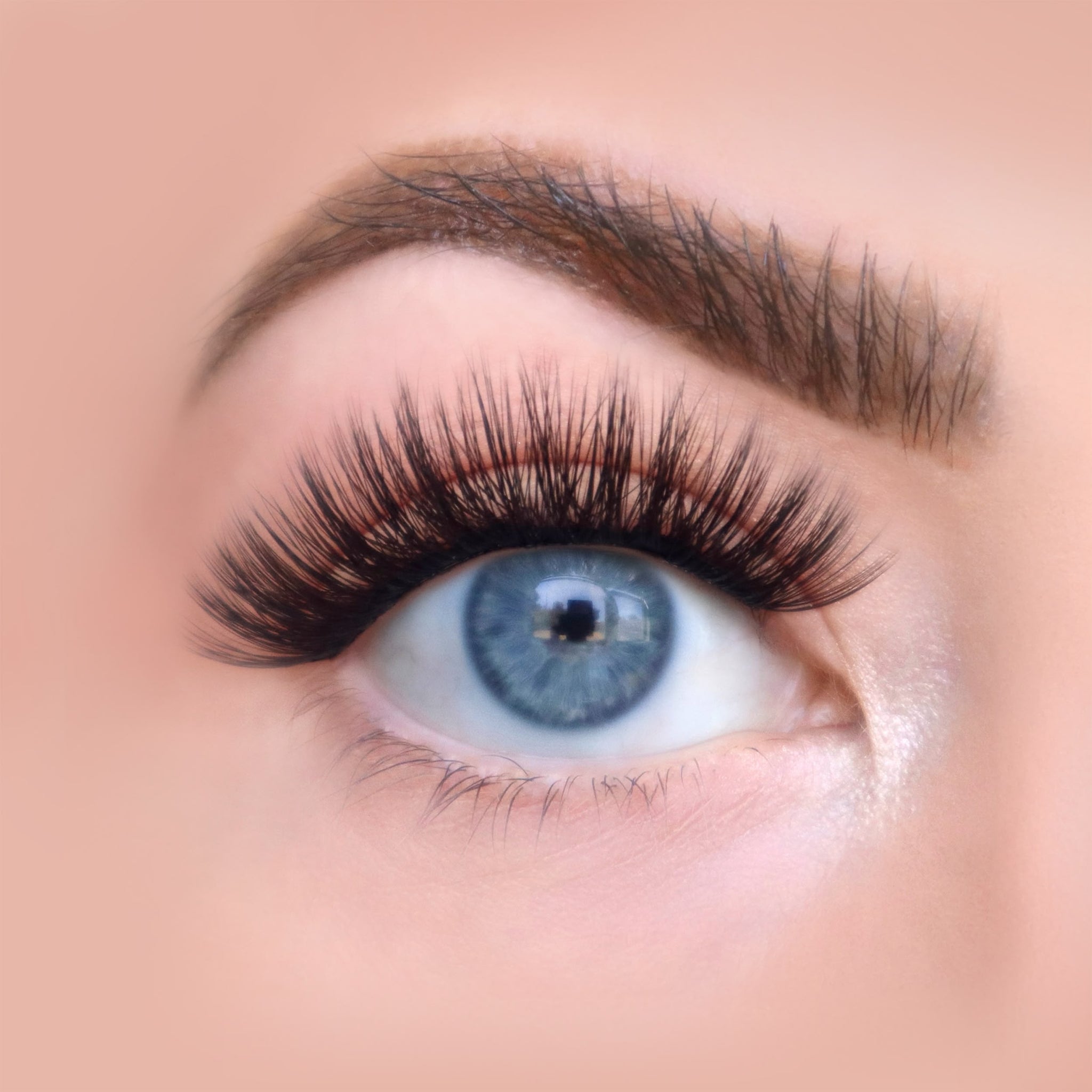 The Original - DIY under lash extensions, up to 10 day wear – FlutterHabit